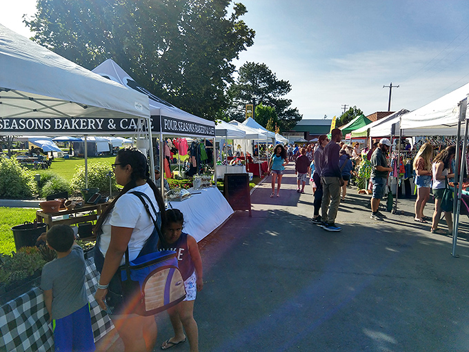 From farm-fresh to funky finds, Nampa Farmers Market & Flea Market is a feast for the senses and the bargain hunter's soul.