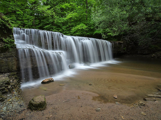 Spring blooms at Nerstrand: Mother Nature's flower show, minus the snooty judges and overpriced concessions. Wildflowers for the win!