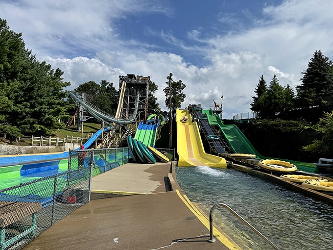 Twists, turns, and thrills galore! Noah's Ark's colorful slides are like spaghetti noodles designed by adrenaline junkies.