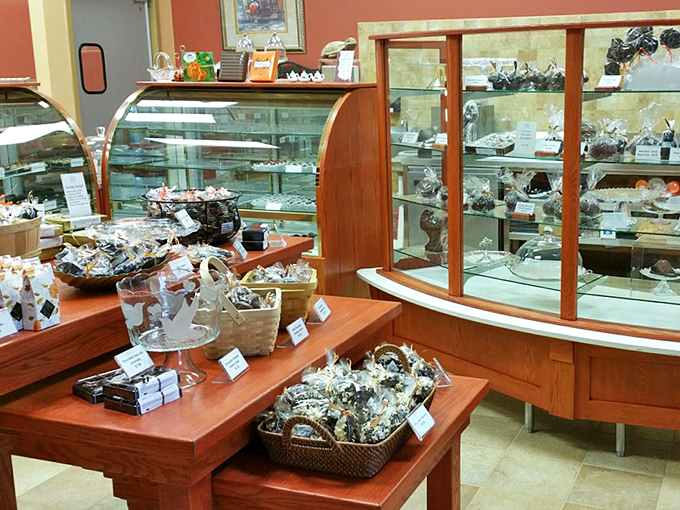 Chocolate artistry in action! Painted Turtle's display case is a canvas of cocoa creations that would make Van Gogh drool.