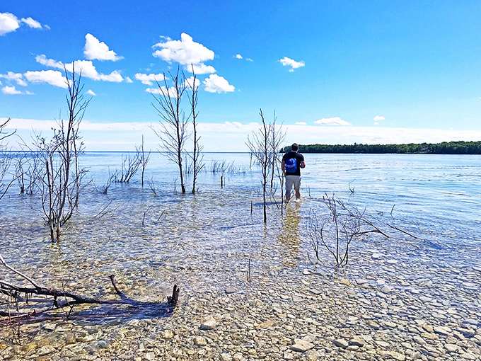Rock Island's pristine shores: Where even your cell phone takes a vacation. Disconnecting never looked so good!