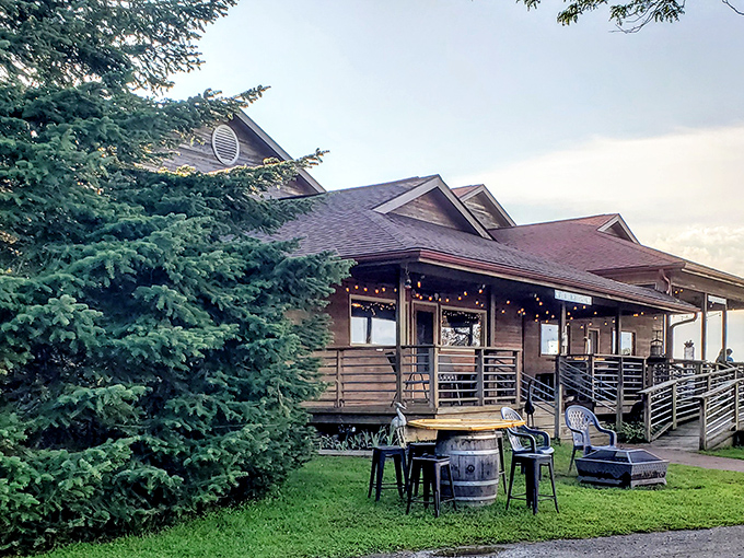 Wine with a side of whimsy at Sandhill Crane. It's the kind of place that makes you want to trade your cubicle for a vineyard.