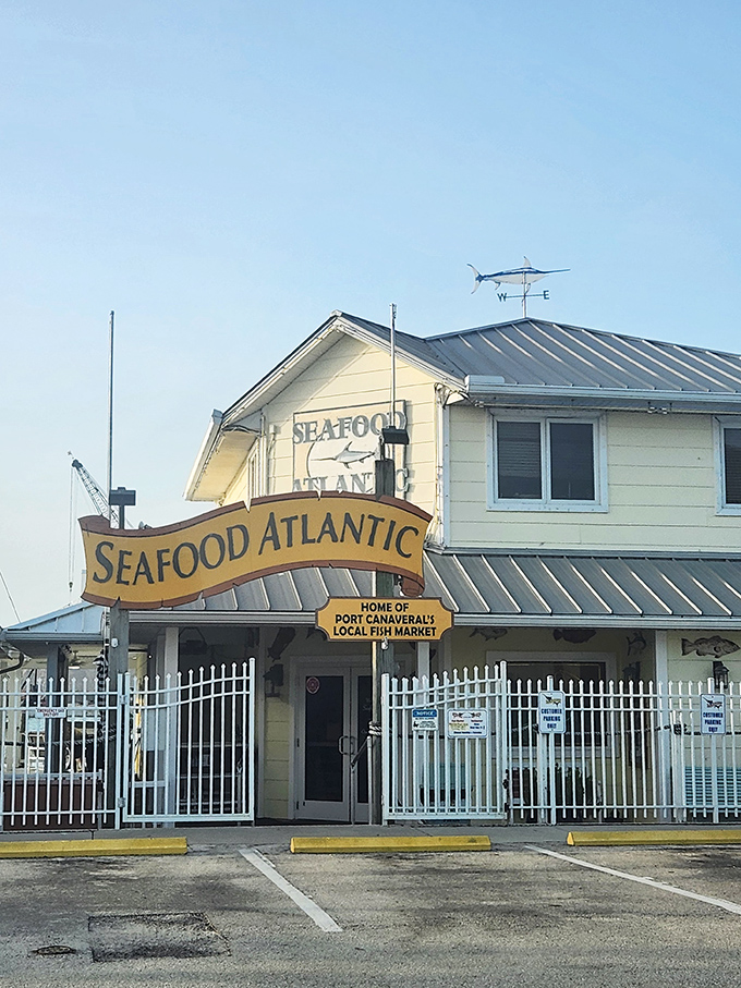 Houston, we have a solution to hunger! Seafood Atlantic's lobster is out of this world.