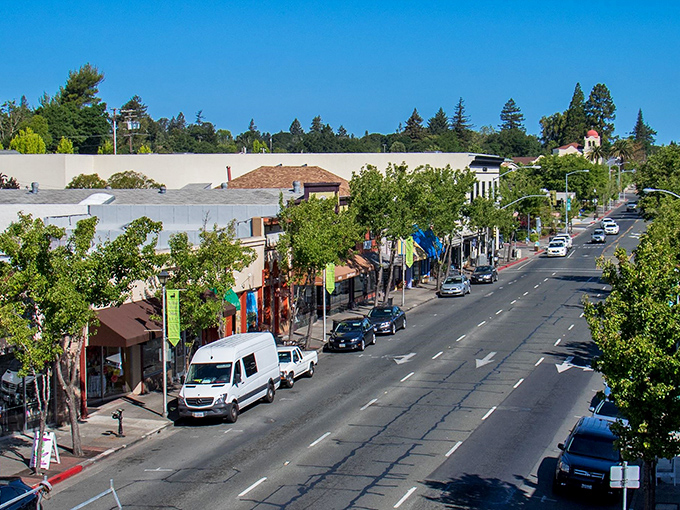 Eclectic shops line Sebastopol's streets, each one a world of wonder. It's like a treasure chest exploded, and we're not complaining.