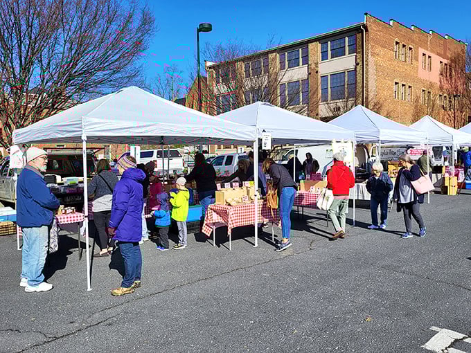 Who needs a time machine? Step into Staunton's market and travel back to when food came from farms, not factories.