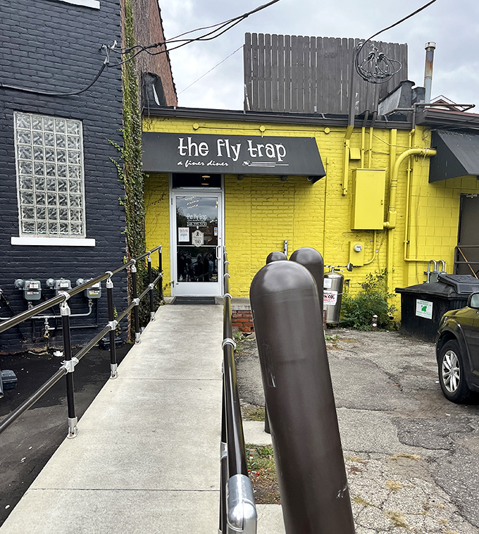 The Fly Trap: Ferndale's sunny-side-up diner with a worldly twist. It's like your favorite greasy spoon went backpacking through Europe and came back inspired.