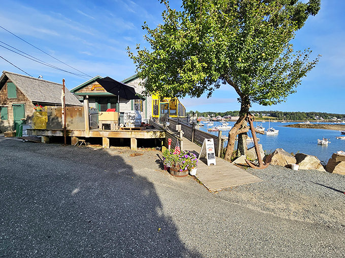 Harbor views and haddock too! Thurston's serves up a slice of Maine life, best enjoyed with a side of tartar sauce.