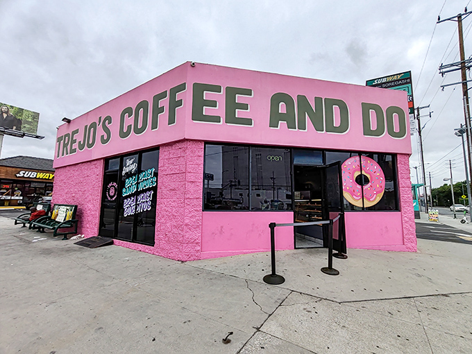 LA's pink powerhouse of pastries: Trejo's donuts are as bold and unforgettable as Danny's on-screen characters.