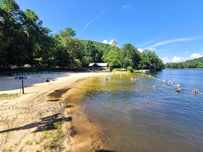 The lake shimmers like a jewel nestled in the mountains. Vogel's beach: where you can have your cake and eat it too &ndash; if your cake is made of sand and scenery.