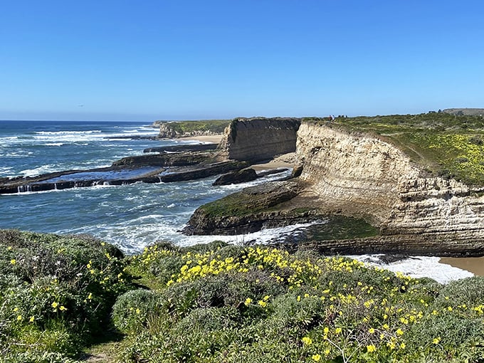 Rugged cliffs and rolling waves at Wilder Ranch. Mother Nature's showing off her landscaping skills, and we're here for it!