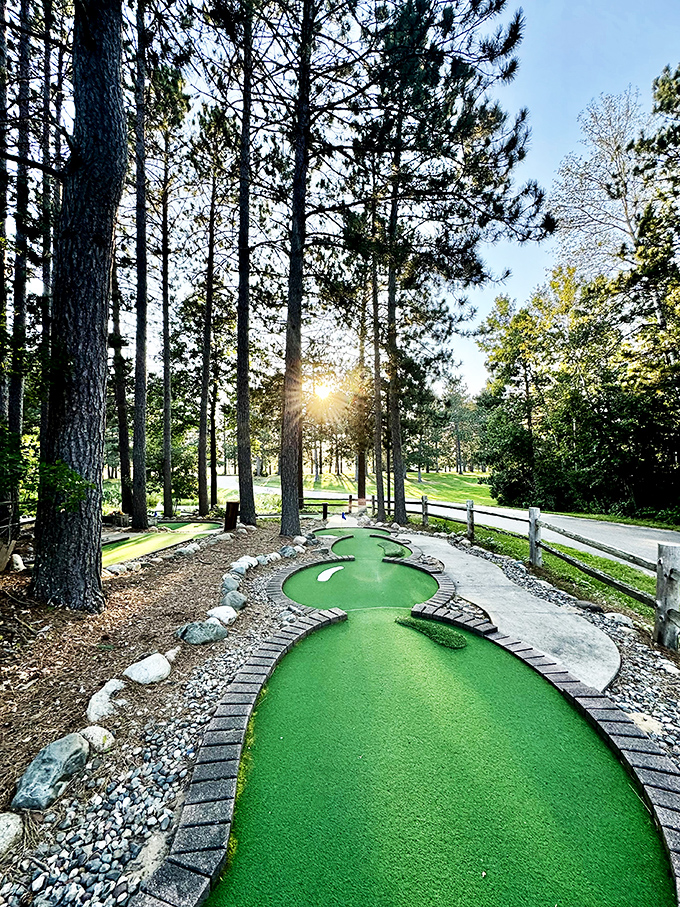 Green with envy? You will be after seeing Wildwedge's pristine mini-golf course. A hole-in-one experience for nature lovers and putters alike!