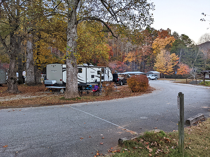 Camping or glamping? With a view like this, who cares! It's like your backyard, if your backyard was designed by Bob Ross.