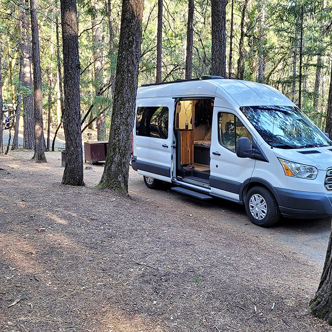 Van life meets wilderness wonderland. It's like your apartment decided to grow wheels and park itself in paradise.