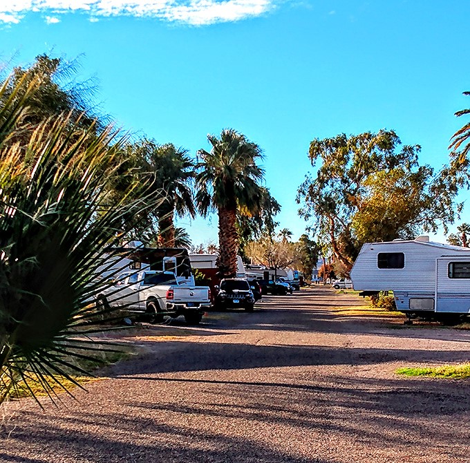 RV heaven or retiree Nirvana? Davis Camp Park is where snowbirds come to roost and swap stories of grandkids and great gas mileage.