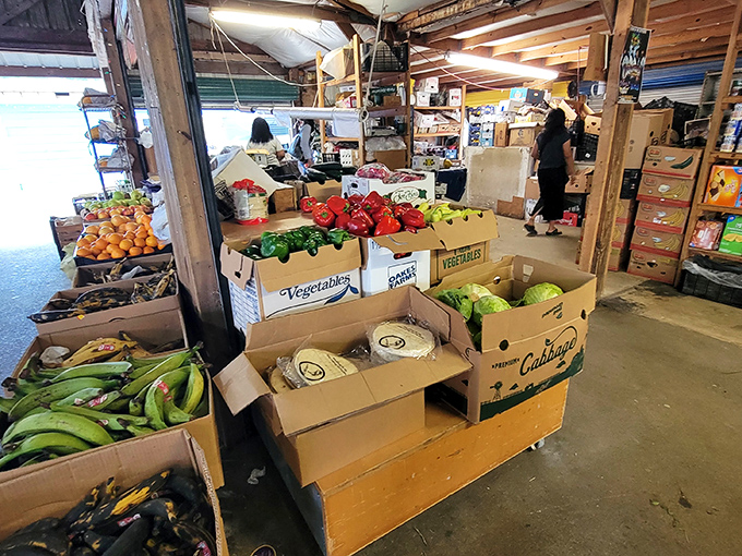 Farm-fresh finds that'll make your taste buds do a happy dance. Who knew grocery shopping could feel like a treasure hunt?