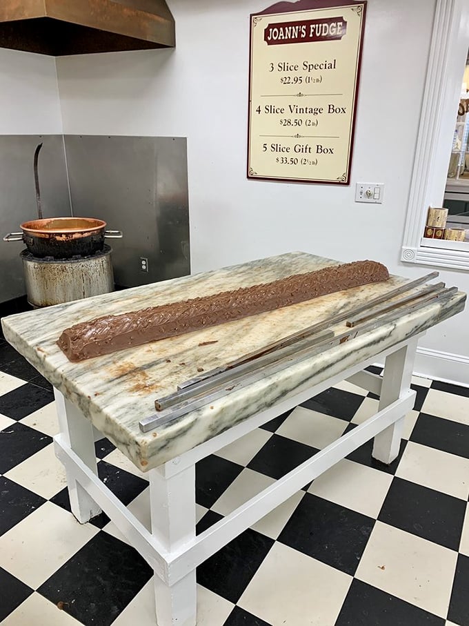 Fudge in its larval stage! Watch as this chocolatey caterpillar transforms into a beautiful, delicious butterfly right before your eyes.