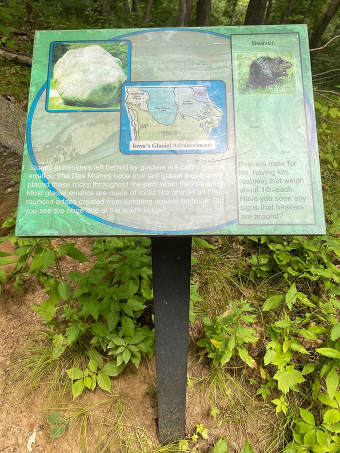 "History lesson or scavenger hunt? Why not both!" An informative sign reveals the park's glacial past and invites visitors to spot local wildlife.