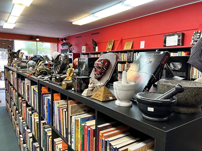 Welcome to the "Adoption Center for Misfit Oddities." Each item here has a story that's probably stranger than fiction.