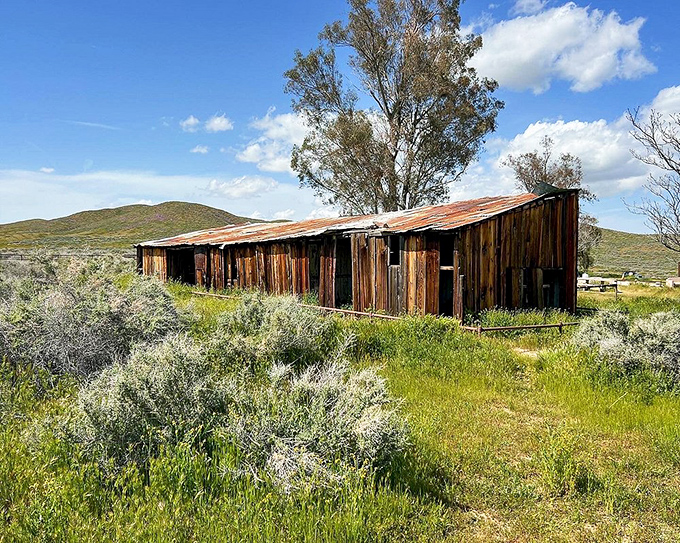 Ghost of California past? This weathered structure's got more stories than your grandpa after his third cup of coffee.