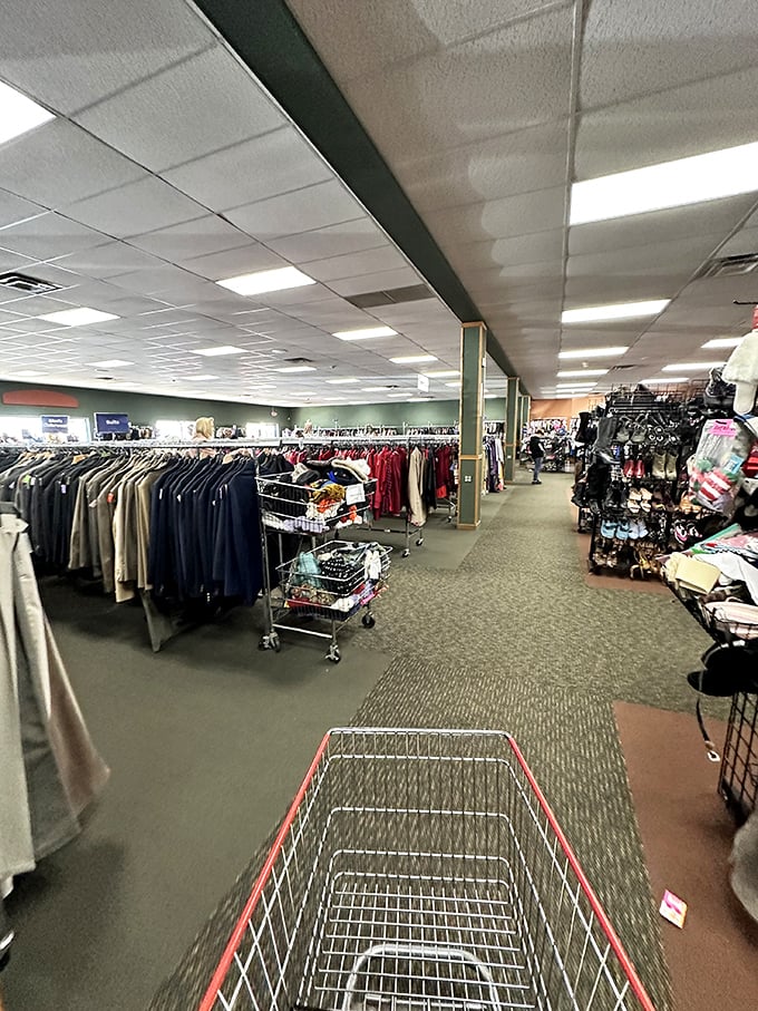 Aisles and aisles of possibility. It's like wandering through a department store, minus the sticker shock and overzealous perfume spritzers.