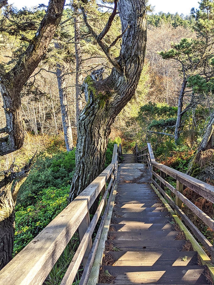 "Stairmaster, eat your heart out!" These winding steps offer a workout with a view that puts any gym to shame.