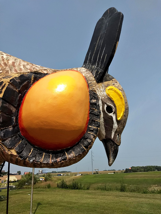 Eye see you: A close-up that's equal parts majestic and mildly terrifying. This chicken's got its eye on the prize &ndash; and possibly your soul.