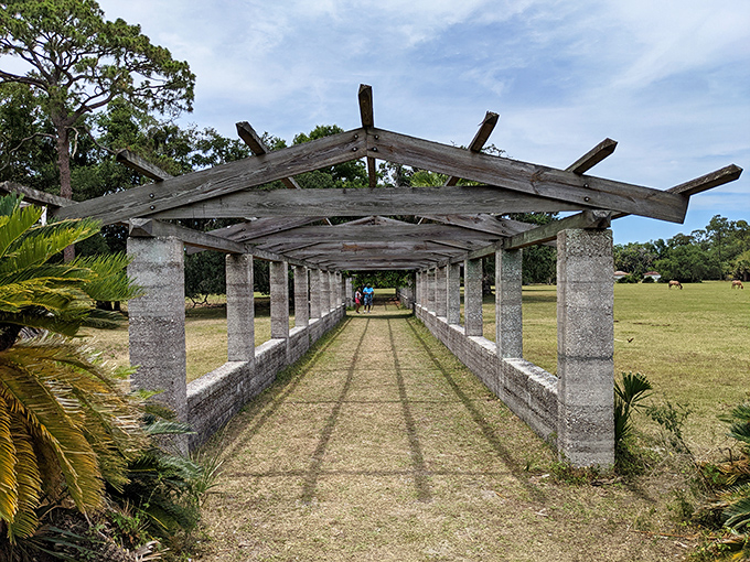 "Visitors": Nature's pergola provides shade for curious explorers. It's like walking through a living, breathing history book.