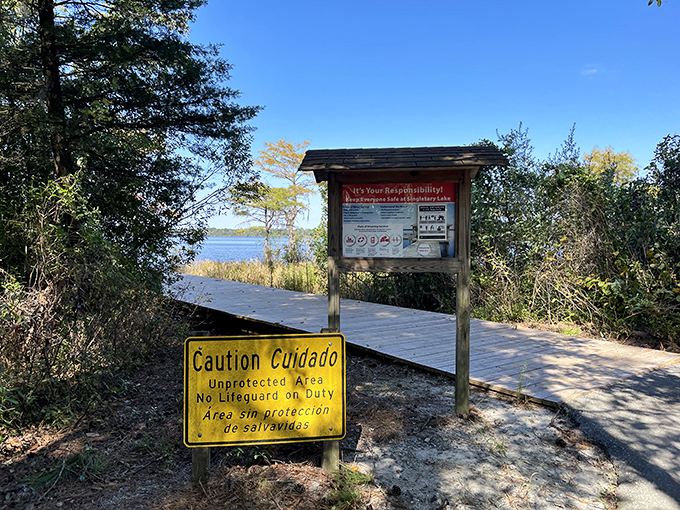 Walk on water? Almost! This boardwalk lets you stroll through a watery wonderland without getting your feet wet. Bonus: no soggy socks!