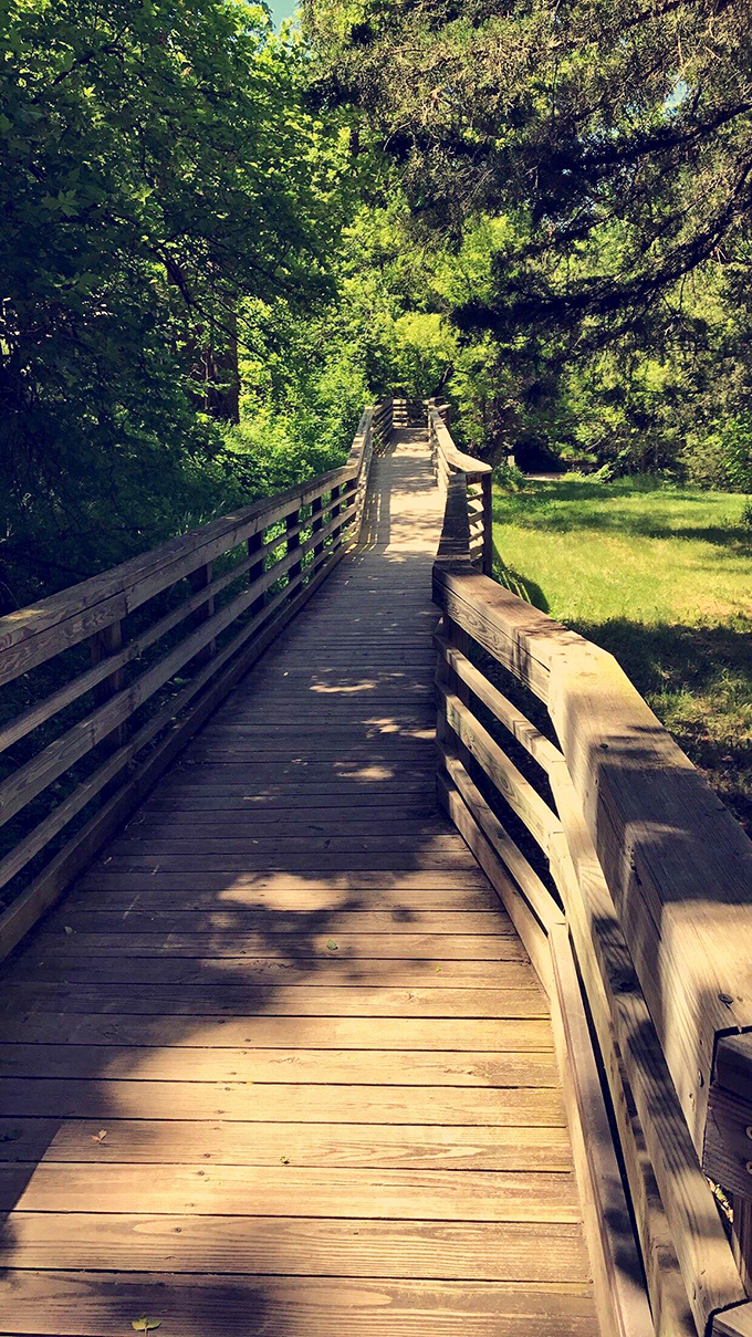 "Walk this way to wonder!" This sun-dappled boardwalk leads you through a green tunnel to adventures beyond.