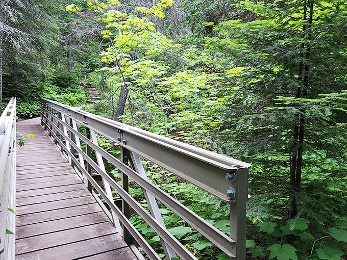 Who needs a yellow brick road when you've got this boardwalk? Follow it for a Wizard of Oz-worthy adventure, minus the flying monkeys.