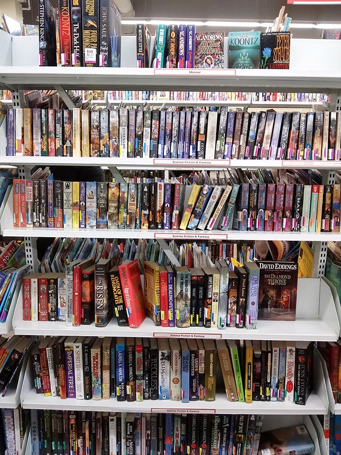 Bookworms, rejoice! This literary buffet offers everything from dog-eared classics to hidden gems. Time to expand your home library!