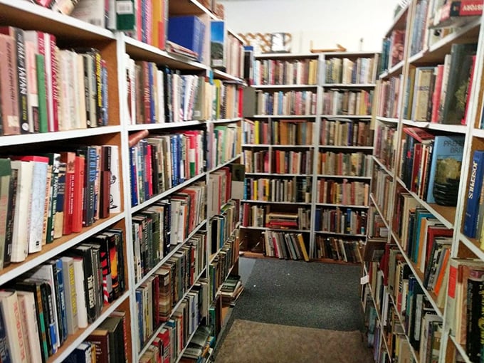 Bookworms, beware! You might lose yourself for hours in these literary lanes. From pulp fiction to classic tomes, there's a story for every reader.