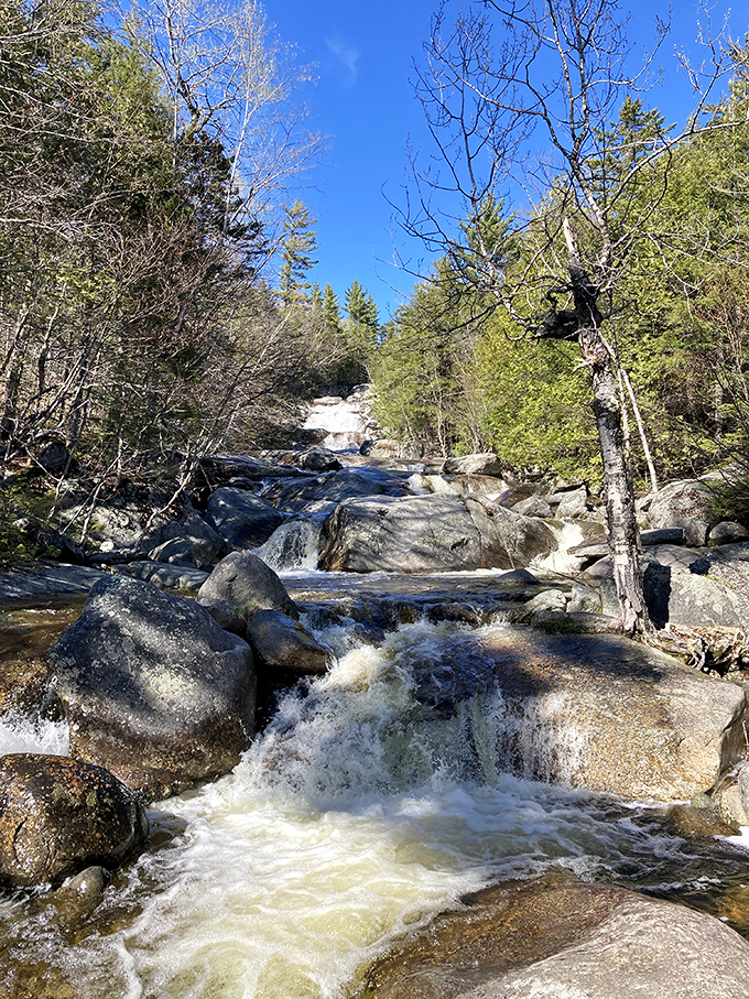 Rapids that rival your morning coffee rush. Nature's alarm clock: loud, refreshing, and impossible to hit snooze on.