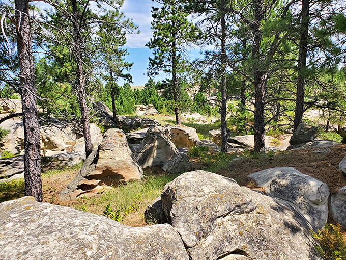 Rock-climbing paradise or nature's obstacle course? Either way, it's an adventurer's dream come true.