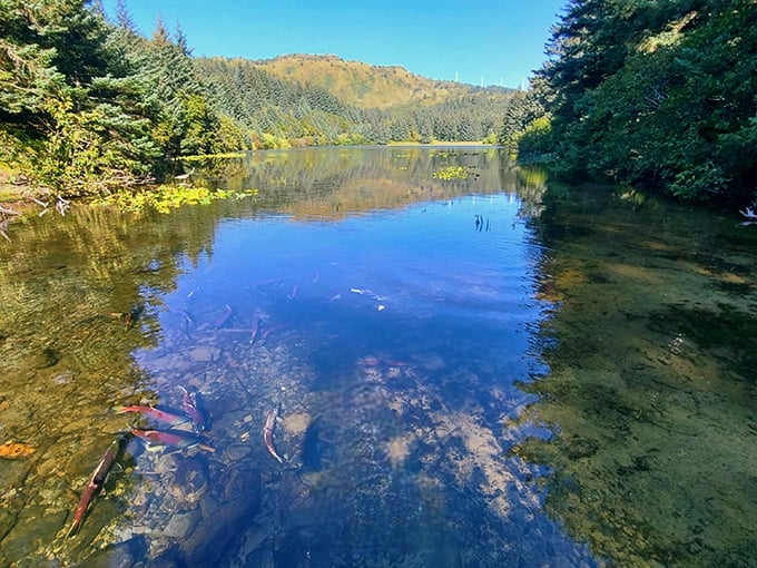 Crystal clear waters: So pristine, you'll wonder if Mother Nature's been moonlighting as a pool cleaner.