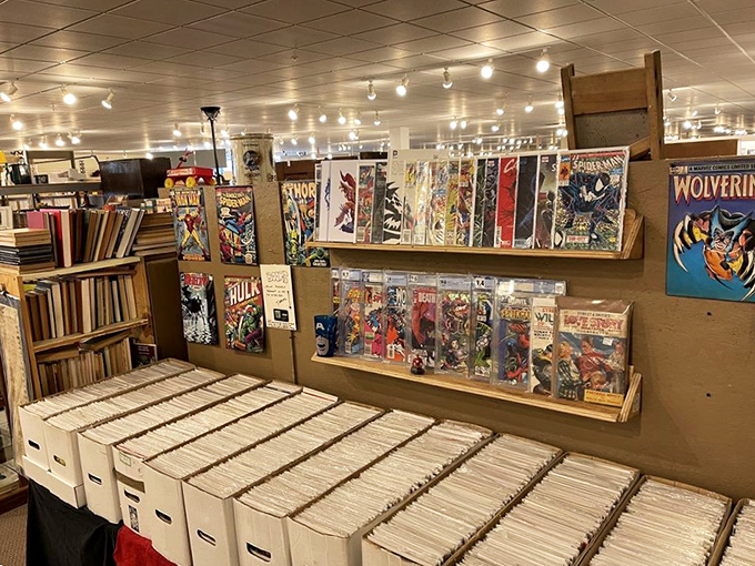 Holy collectibles, Batman! This comic book corner is every superhero fan's kryptonite. Time to dust off that cape!