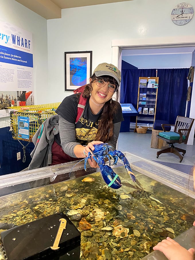 Blue lobsters and wide-eyed wonder: Discovery Wharf brings the mysteries of the deep to eye level. Warning: May spark dreams of becoming a marine biologist.