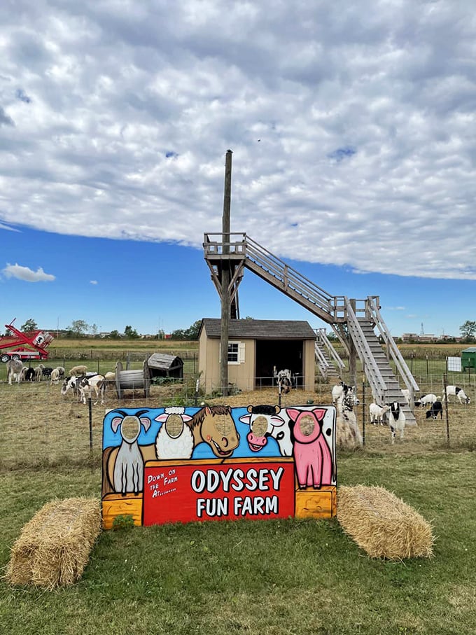 Old MacDonald, eat your heart out! This fun farm brings barnyard chic to new heights with its whimsical animal cutouts.