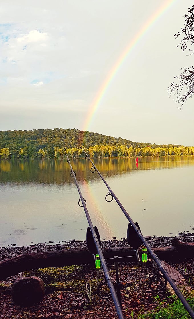 Fishing for compliments? Cast your line here and reel in some peace and quiet. The fish are just a bonus!