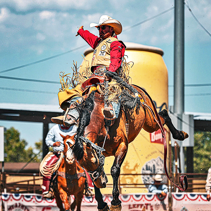 Frontier Days Rodeo event: Yeehaw! Hold onto your hats, folks. This cowboy's making that bucking bronco look like a kiddie ride at the county fair.