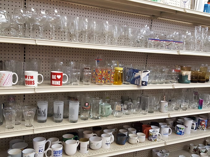 Raise a glass (or mug) to the art of hydration! From "Be Mine" to skylines, these vessels tell a thousand stories.