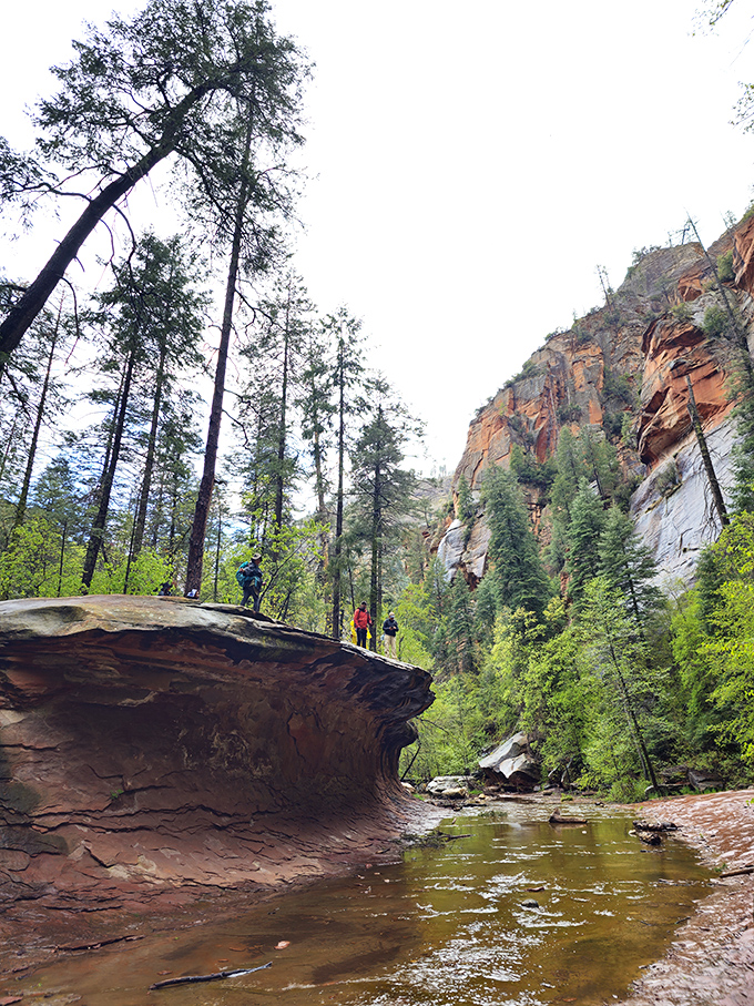 Who needs a stairmaster when you've got nature's own obstacle course? These hikers are getting a workout with a view!