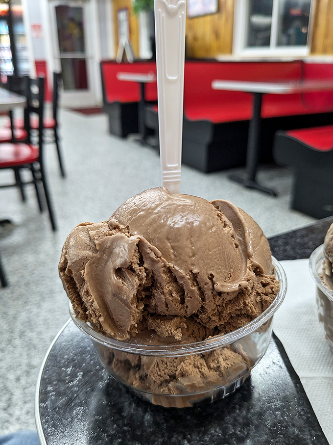 Sweet dreams are made of this! The Goldenrod's ice cream is the perfect finale to your fried feast – creamy, dreamy, and utterly irresistible.