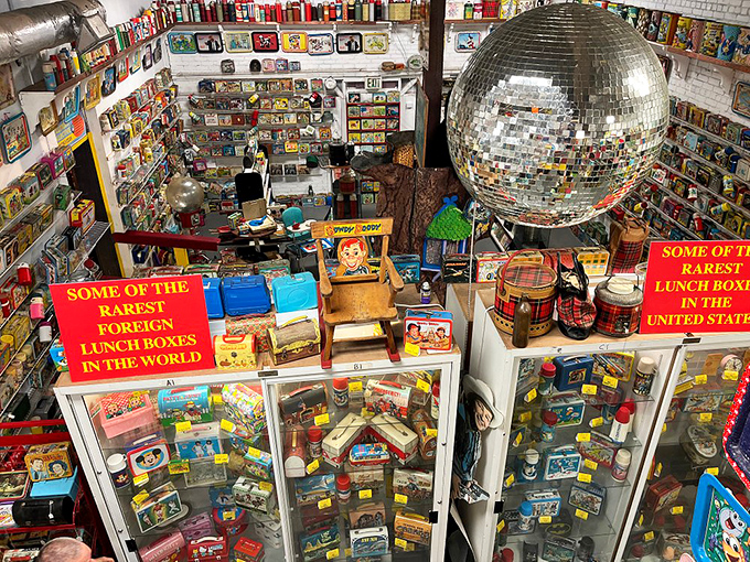 Welcome to the cafeteria of your dreams! This wonderland of lunch boxes is where pop culture and PB&J collide in the most delightful way.