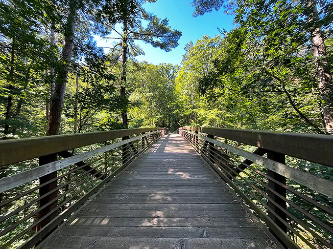 Who needs yellow brick roads when you've got wooden bridges like this? Follow the path to your own personal Oz, minus the flying monkeys.