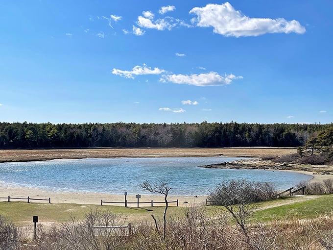 Who needs a water park when Mother Nature's got your back? This lagoon is like a kiddie pool designed by Poseidon himself.