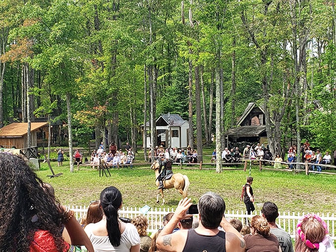 Jousting: where getting knocked off your high horse is actually the point. Chivalry isn't dead, it's just heavily padded.