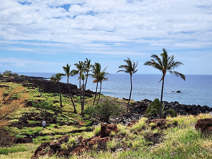 Fifty shades of green: Lapakahi's lush landscape puts even the most ambitious lawn enthusiasts to shame.
