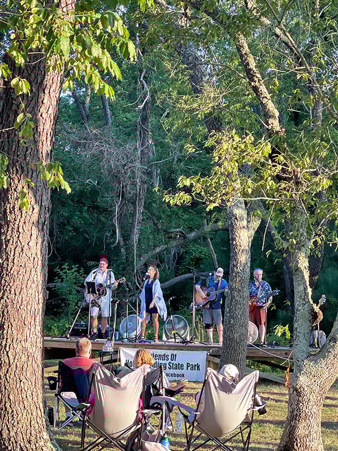 Move over, Coachella! This woodland concert venue proves that the best sound system is Mother Nature's own acoustic magic.