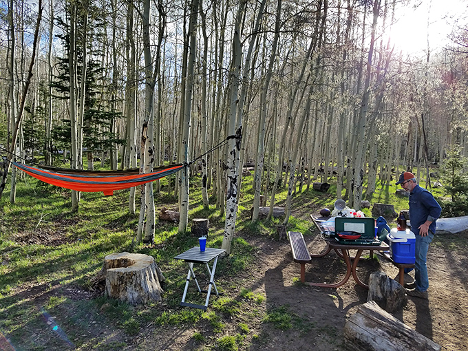 Picnic perfection! Where every meal comes with a side of breathtaking views and a dash of pine-scented air.